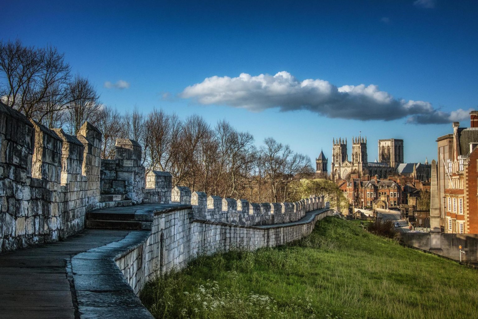 New York City: yew tree estate or wild boar settlement? - Pauline Park